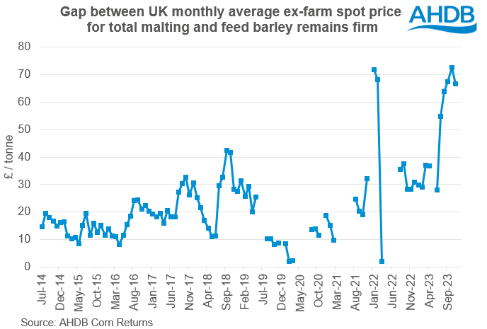 Malting barley premiums remain elevated: Grain market daily | AHDB