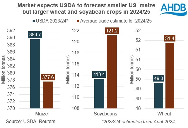 Mixed market expectations for USDA’s first 2024/25 forecasts: Grain ...