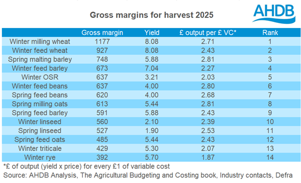 Analyst Insight: Wheat a winner for harvest 2025 gross margins | AHDB