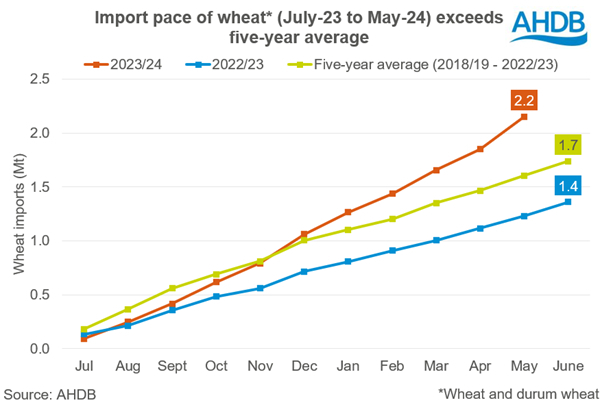 Analyst Insight: Could a smaller domestic wheat crop impact bread ...