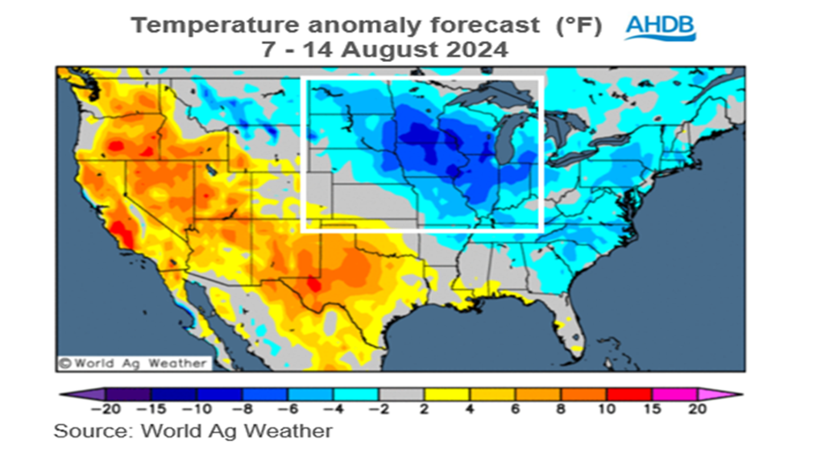 What’s influencing global soyabean prices? Grain market daily | AHDB