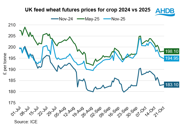 2025 wheat futures prices rise vs crop 2024: Grain market daily | AHDB