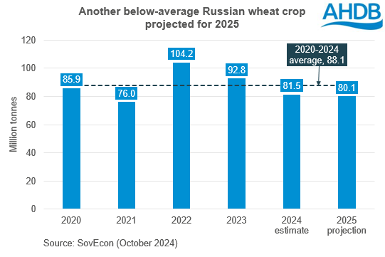 Below-average 2025 Russian wheat crop? Grain market daily | AHDB