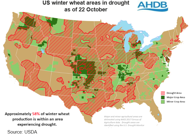 US winter wheat conditions poorer than expected: Grain market daily | AHDB