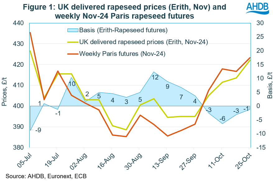 Analyst Insight: Price risk management tools for rapeseed in the UK | AHDB