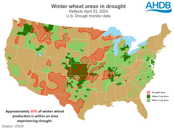 US winter wheat rating dips following dry weather: Grain market daily ...