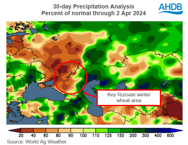 Black Sea crop conditions critical watchpoint: Grain market daily | AHDB