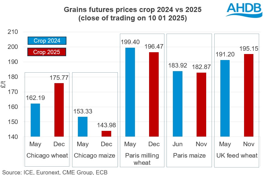 Looking ahead at 2025 prices: Grain market daily | AHDB