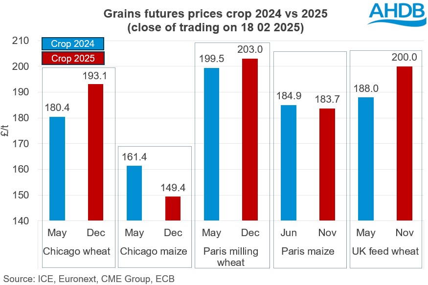 2025 crop UK wheat futures hit three-month high: Grain market daily | AHDB