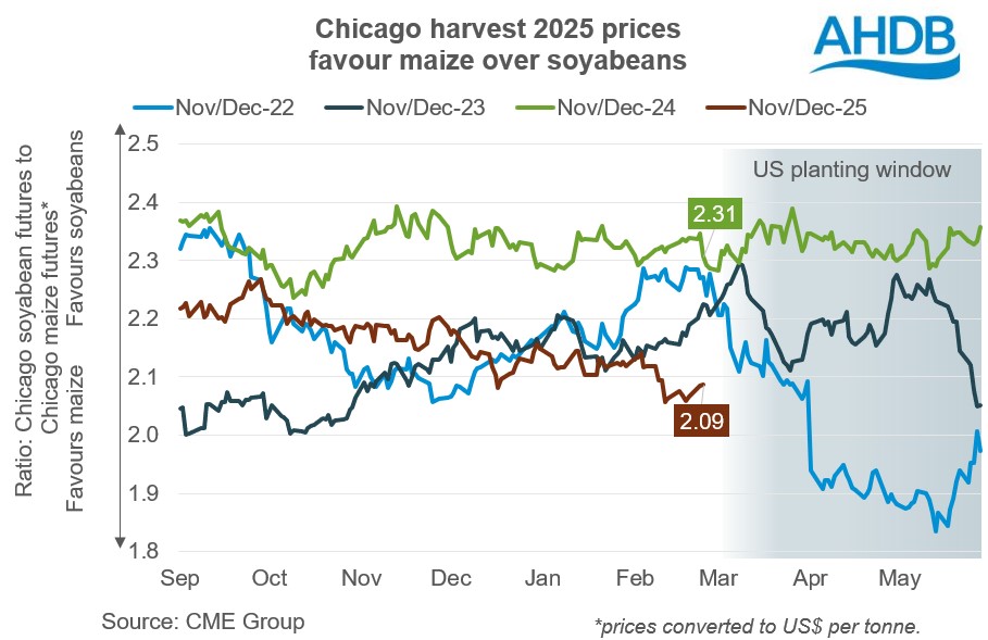 US planting dilemma – maize or soyabeans? Grain Market Daily | AHDB