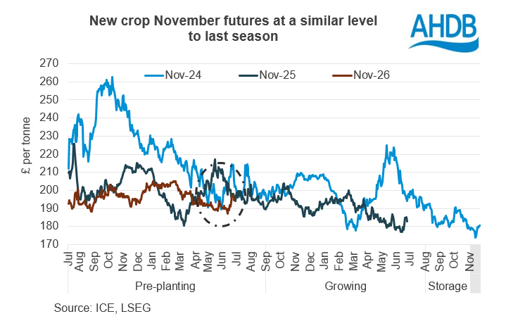 Spotlight on 2026 wheat prices: Grain market daily | AHDB