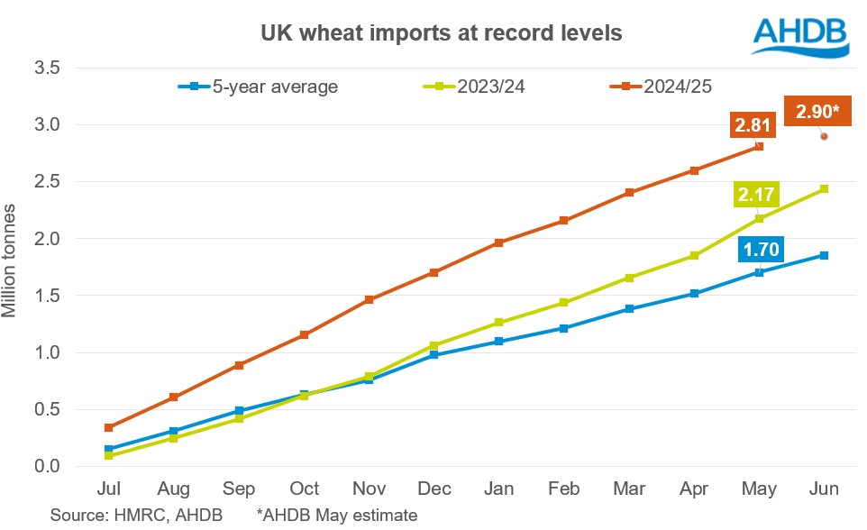 UK wheat exports reached a seasonal high in May: Grain Market Daily | AHDB