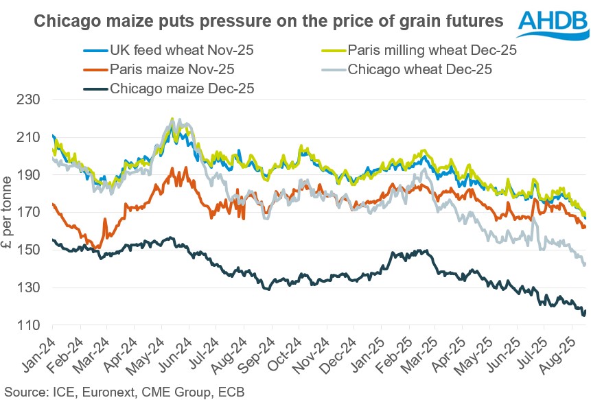 Record US maize crop weighs on grain prices: Grain market daily | AHDB