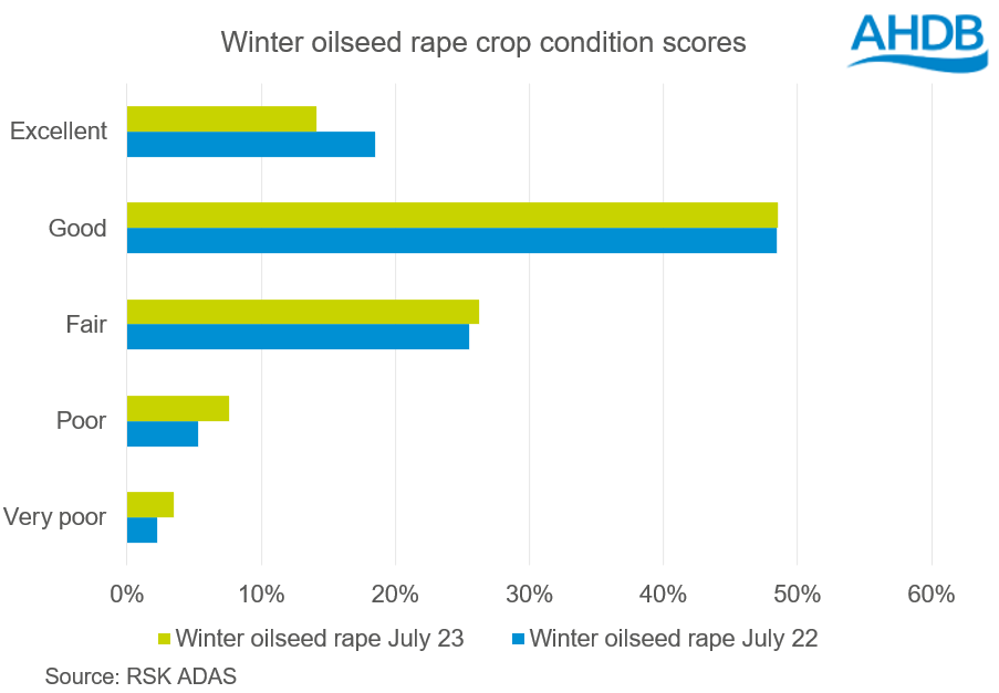 Crop development | AHDB