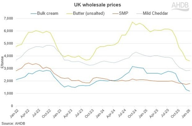 January 2026 dairy market review | AHDB