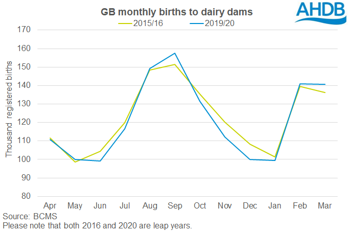How have changes to calving patterns affected milk production? | AHDB