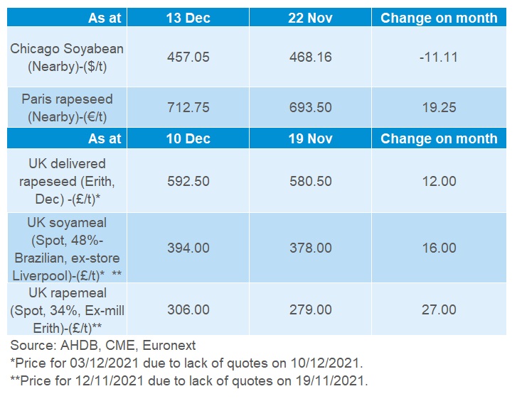 Feed report: 15 December 2021 | AHDB
