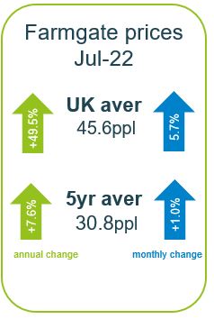 August dairy market review | AHDB