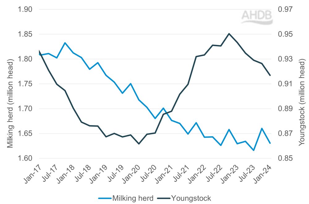 GB dairy cow population: marginal growth in the milking herd driven by ...