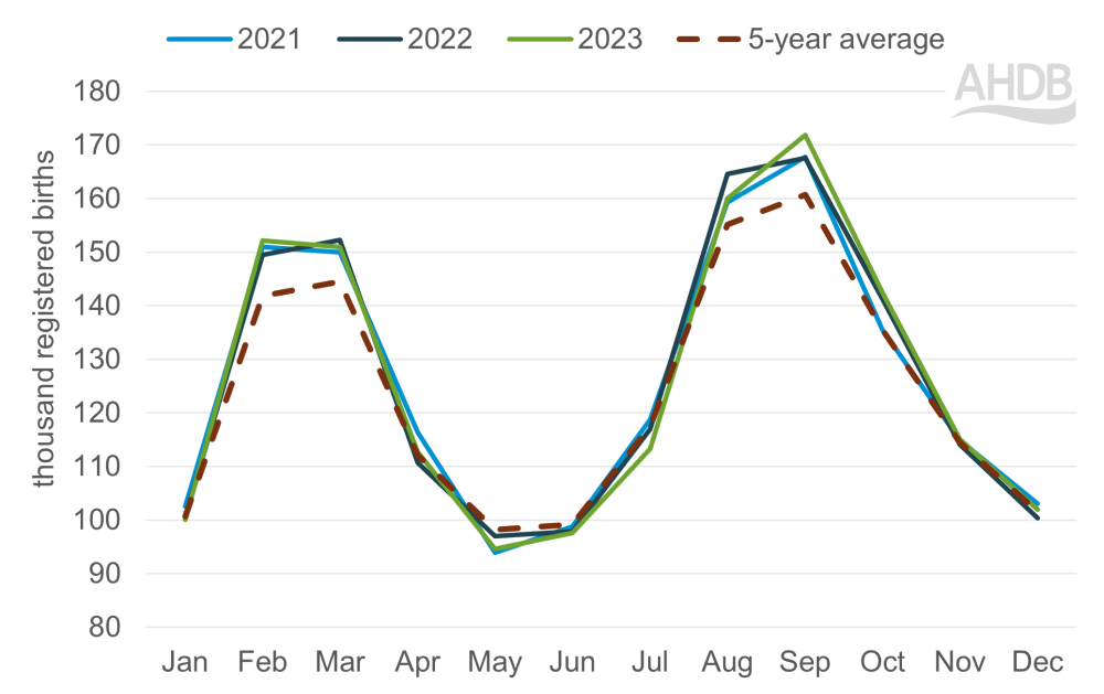 Dairy calf registrations: More calves born in Q4 means a stable GB ...