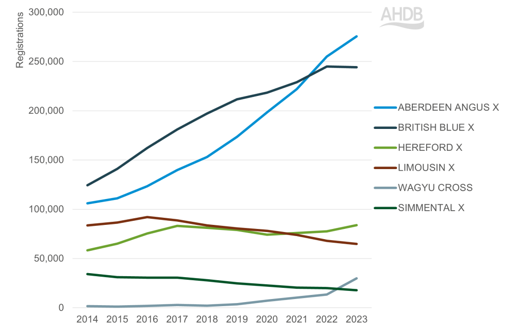 Long-term trends in breeding choices on the dairy farm | AHDB