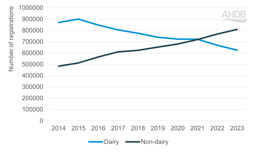 Long-term trends in breeding choices on the dairy farm | AHDB