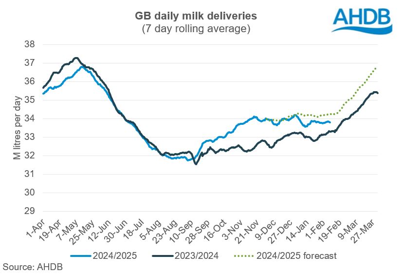 January 2025 dairy market review | AHDB