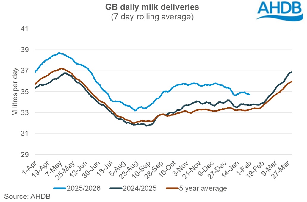 GB milk deliveries: volumes continue to grow | AHDB