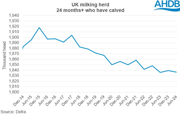 UK and EU cow numbers | AHDB