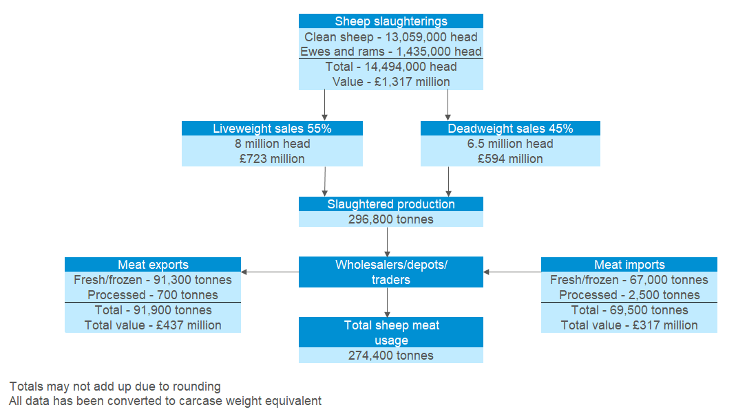 UK sheep marketing chain | AHDB