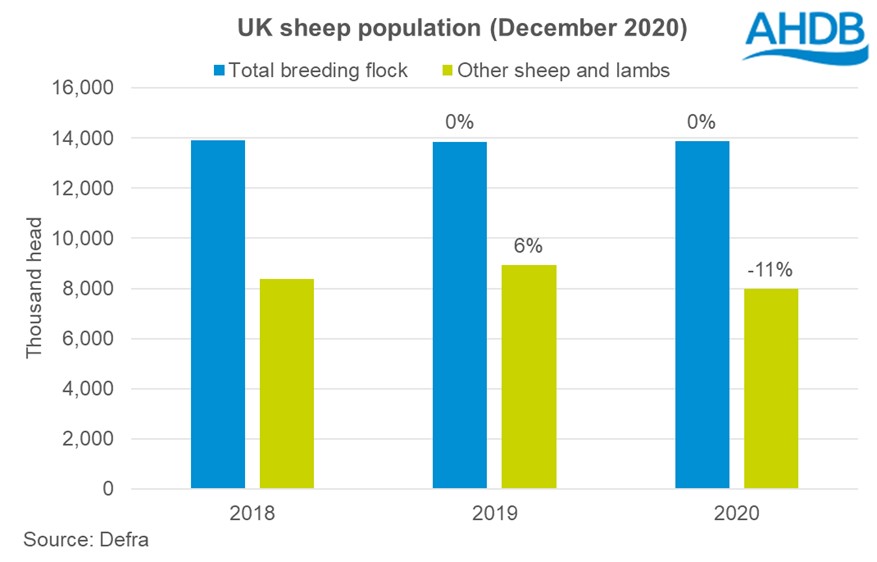 UK breeding flock holds steady in December | AHDB