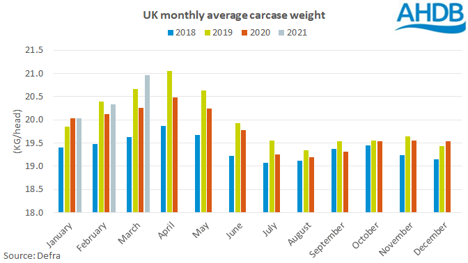 Lamb production rises on previous month but remains low | AHDB