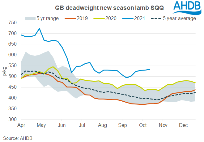 Lamb prices continue to rise | AHDB