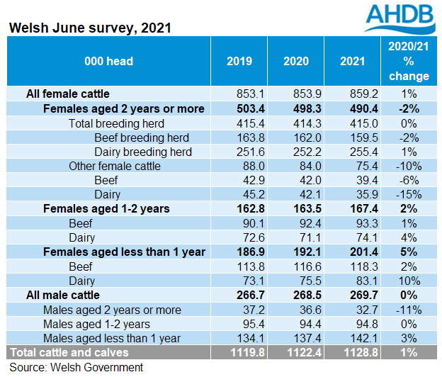 Welsh June livestock survey - 2021 | AHDB