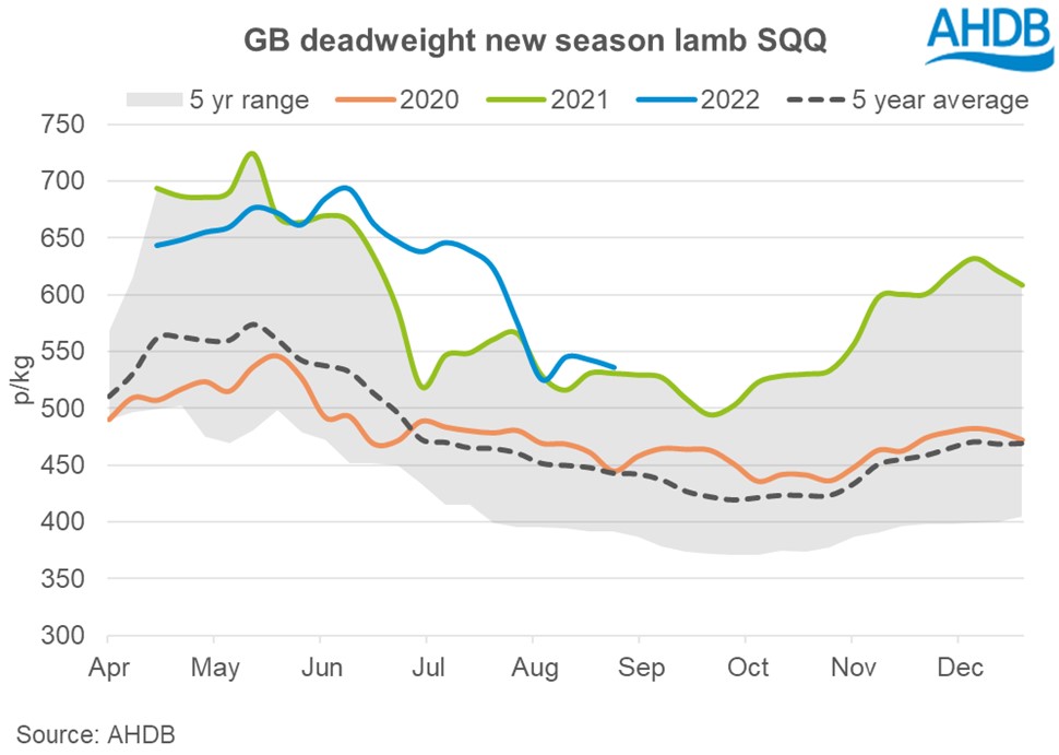 August sees GB lamb prices return to 2021 levels | AHDB