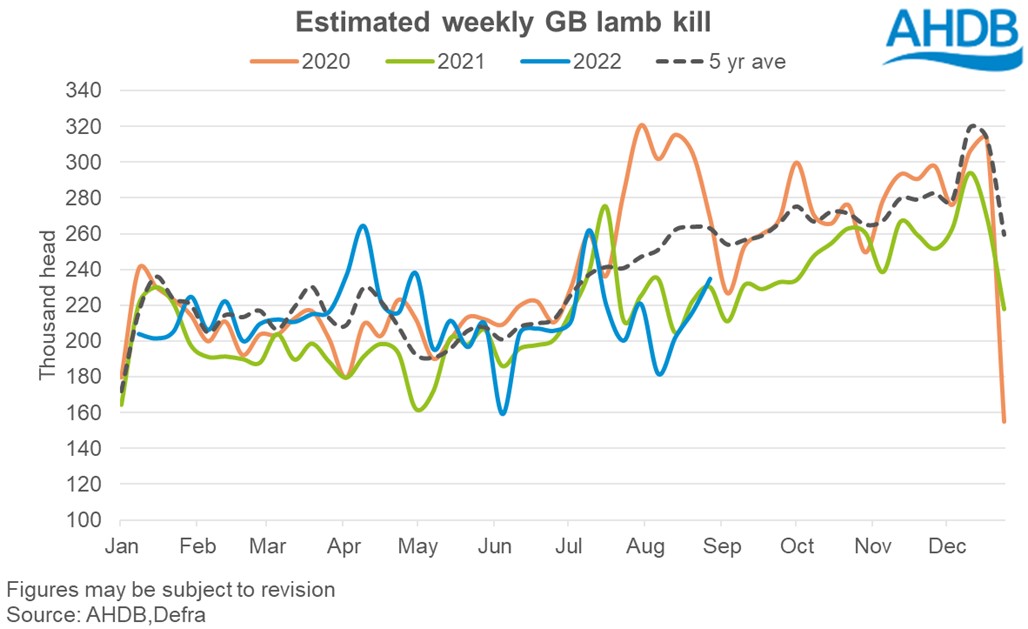 August sees GB lamb prices return to 2021 levels | AHDB