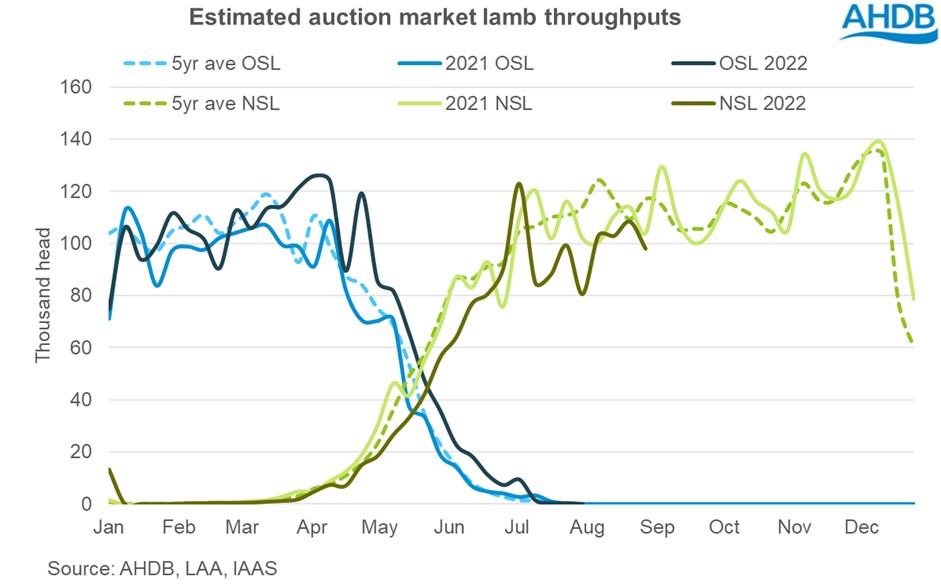 August sees GB lamb prices return to 2021 levels | AHDB