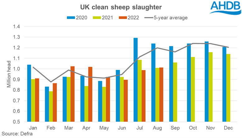 More lambs forward supports August production | AHDB