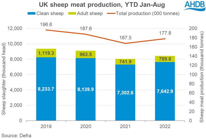 More lambs forward supports August production | AHDB