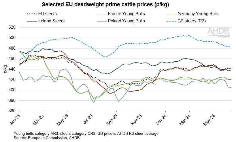 Beef and lamb market update: EU production grows for beef and falls for ...