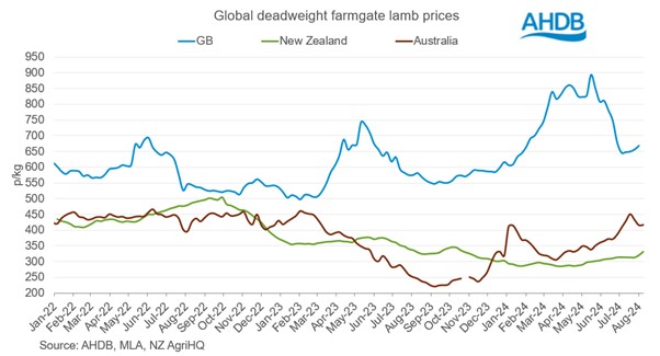Lamb market update: What’s driving global sheep prices? | AHDB