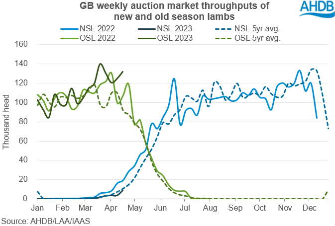 Lamb prices supported into Easter | AHDB