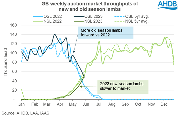 Spring lamb prices off to a strong start | AHDB