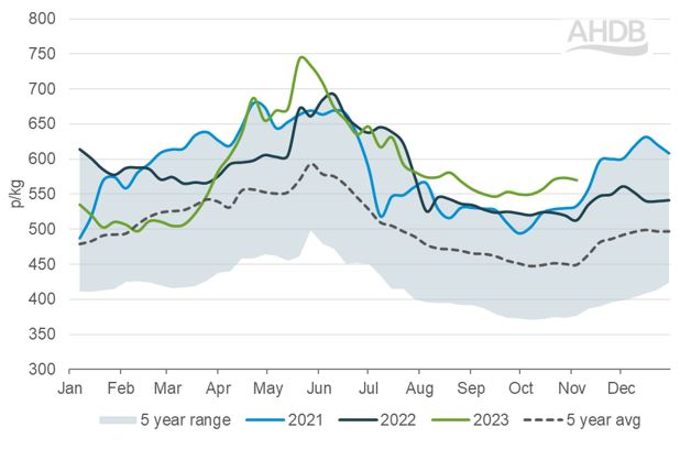 Sheep market update: prices hold firm throughout October | AHDB