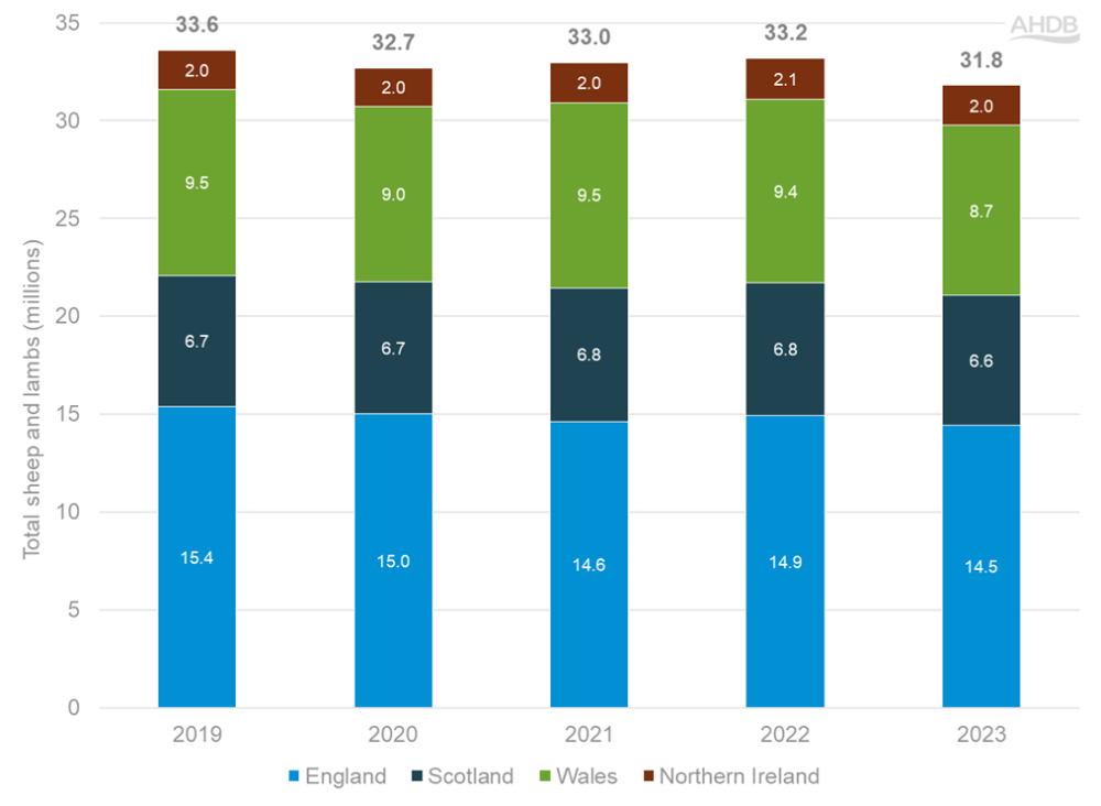 Sheep population: Defra’s June census shows continued shrinking of the ...
