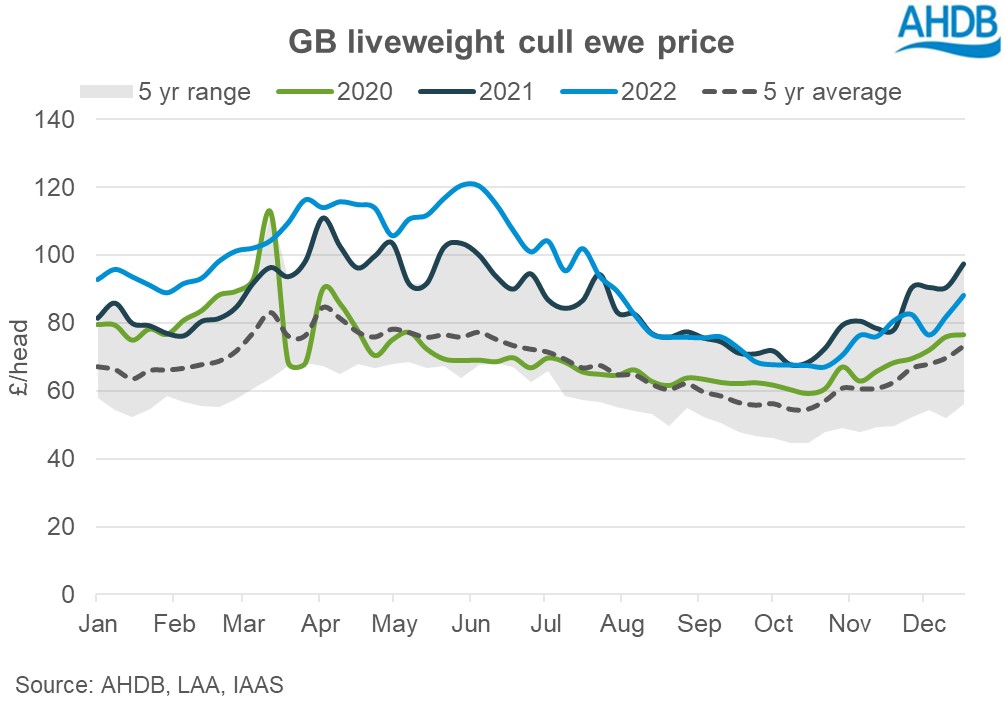 December lamb prices continue to follow seasonal trends | AHDB