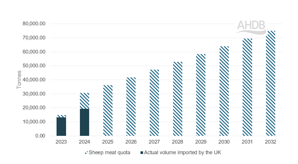 Lamb market update: Australian lamb production is expected to remain at ...