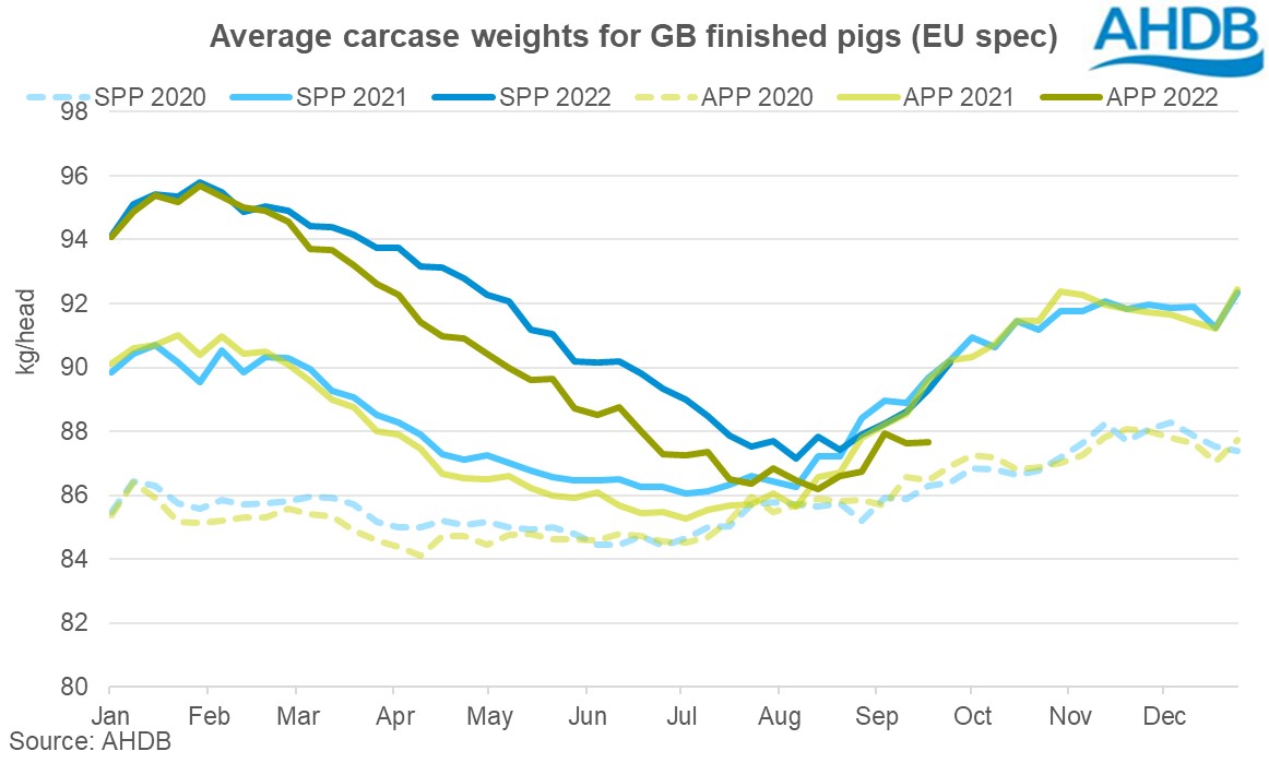 SPP average tips over £2/kg mark for September | AHDB