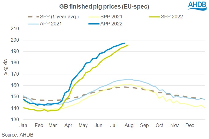 Pig prices continue upward trend | AHDB