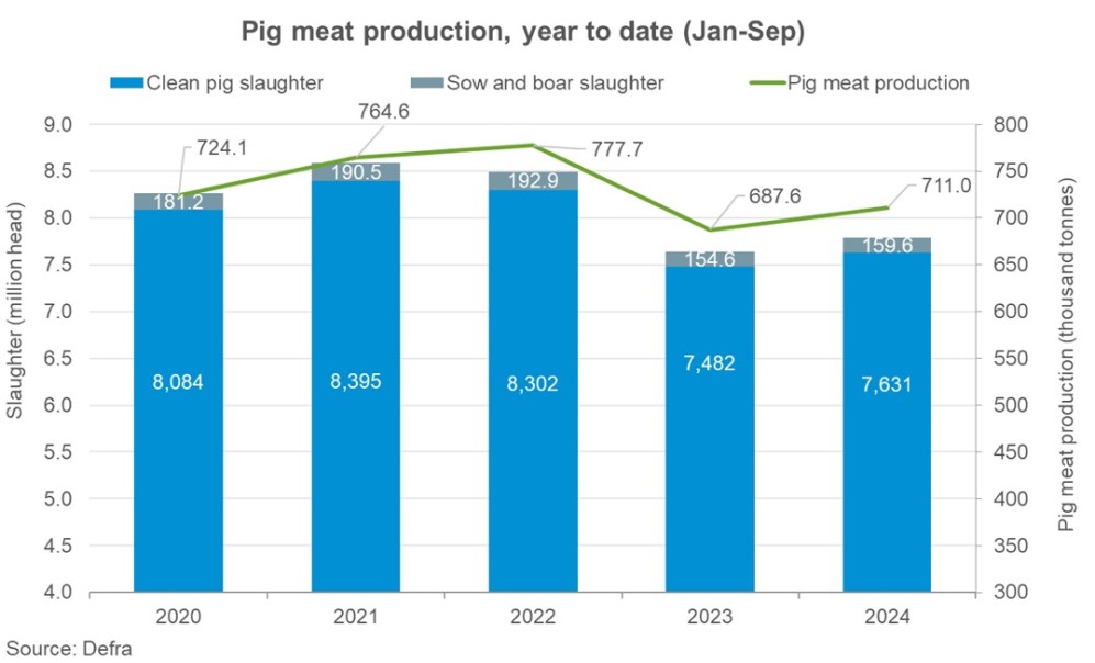 UK pig meat production: slaughter numbers drive growth in Q3 2024 | AHDB